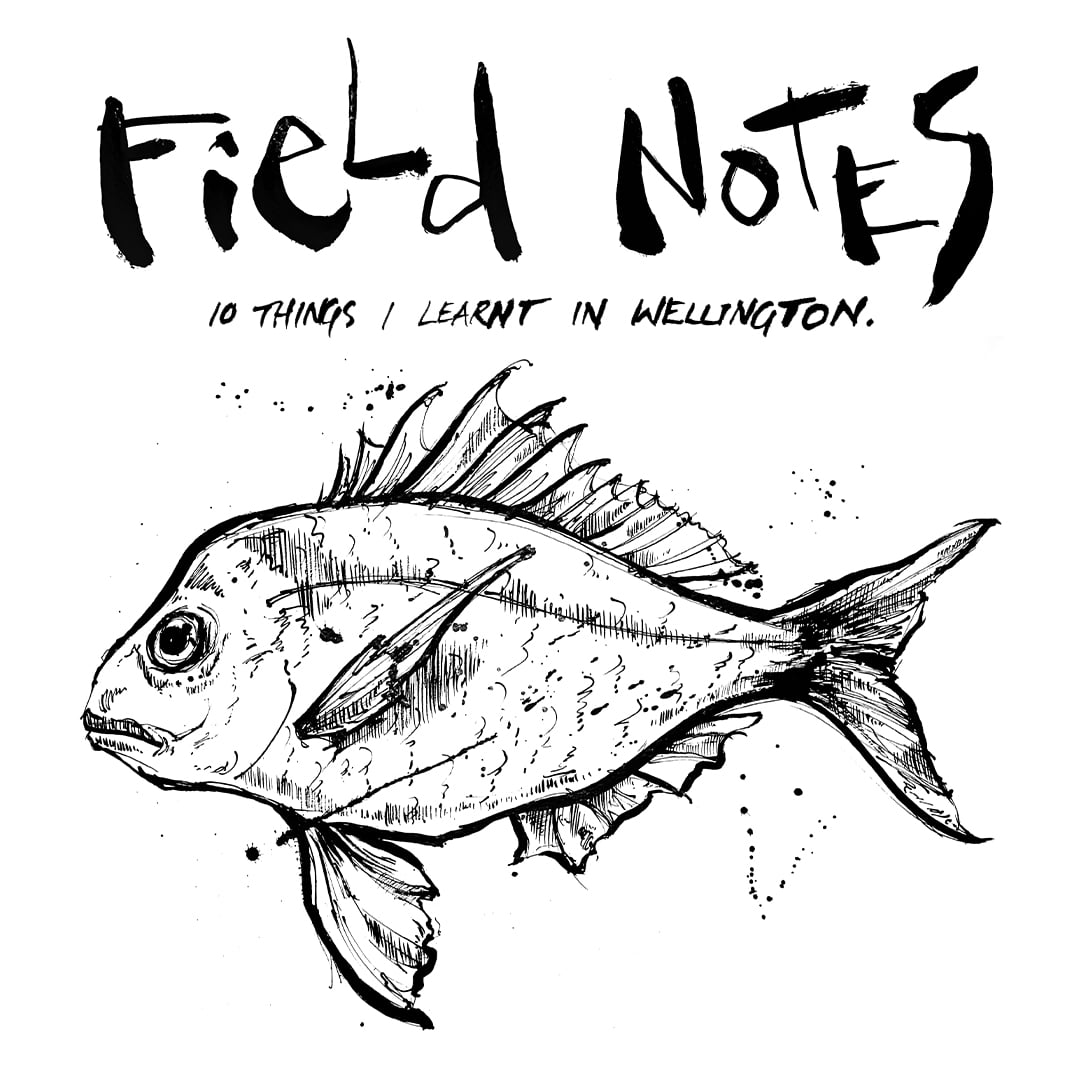 Guest Artist - Rachel Murray - Illustration - ER Imaging Photography